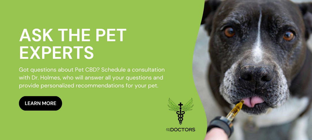 Kind+Life Dispensary by CBD Remedies, Lincoln, NE | Shop Delta 8 & THC ...